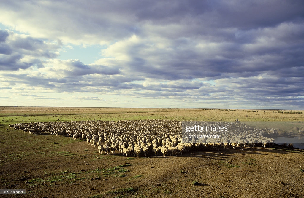 Hay Plain – Road Trip – The Game